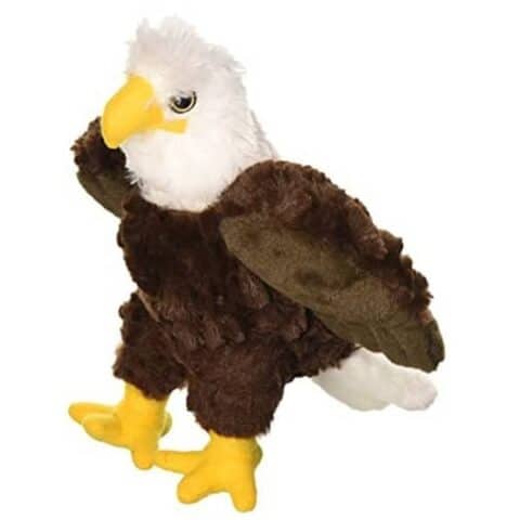 CK Mini Bald Eagle 8" | Plush | Shop VZDS