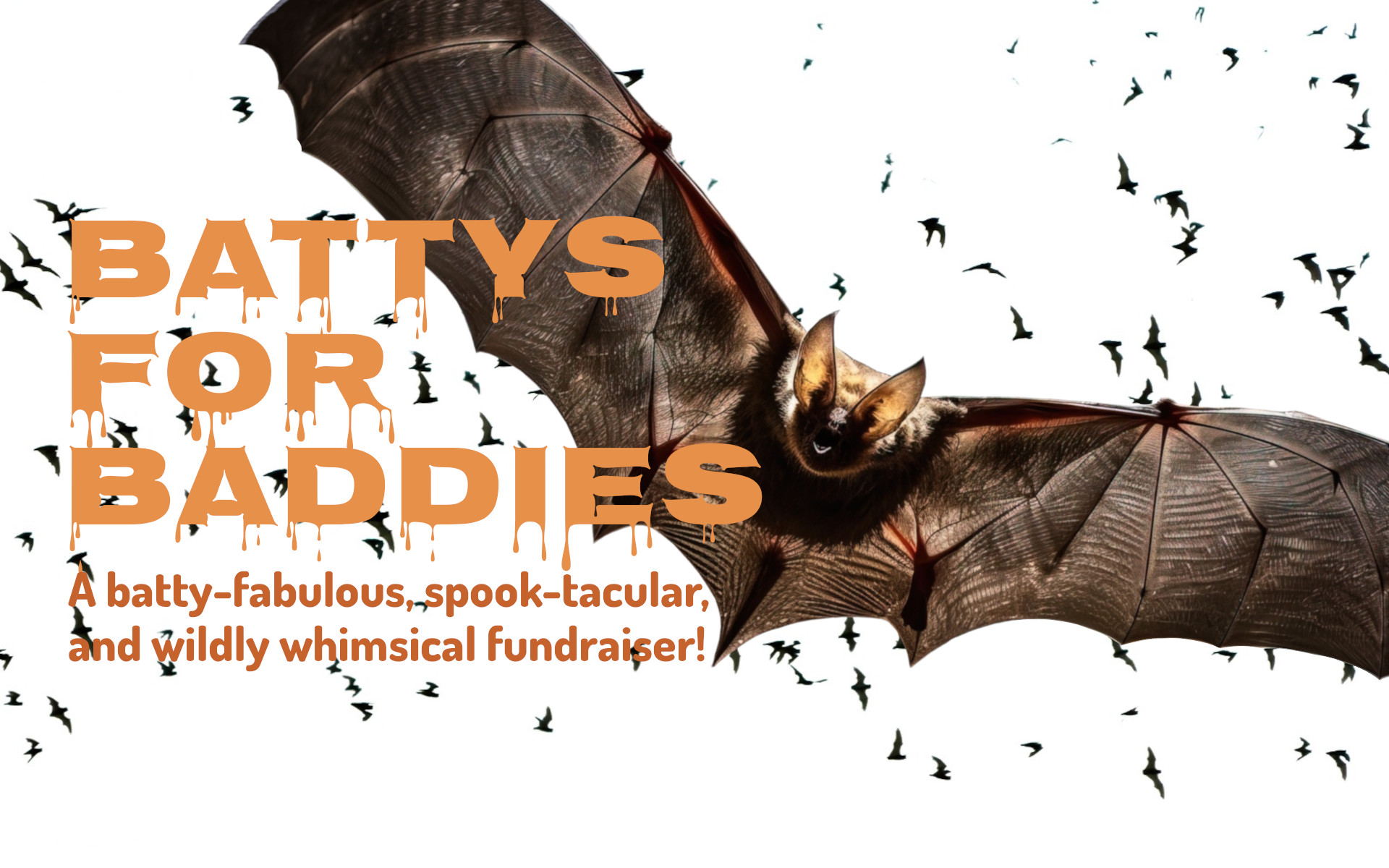 Battys for Baddies | Valley Zoo Development Society