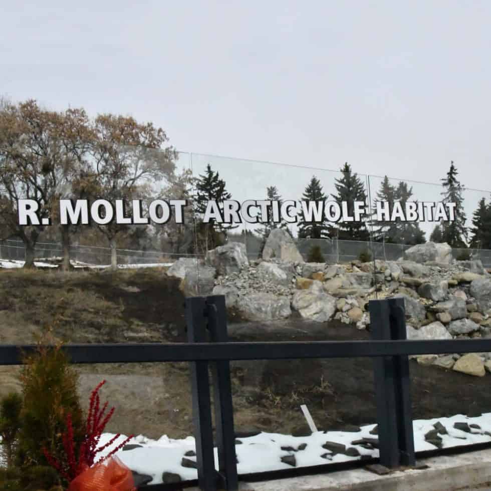 Arctic Wolf Habitat | Valley Zoo Development Society